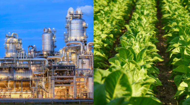 Conversion of Conventional Refinery to Full Renewables - Becht